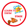 Swimming Stages & Certificates ⋆ Cindy's Swim School